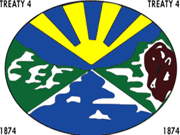 Key First Nation Constitution | Native Nations Institute's Constitution ...